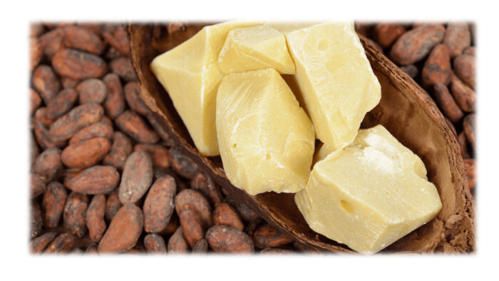 Affordable Cocoa Butter for Sale Philippines | Wills International