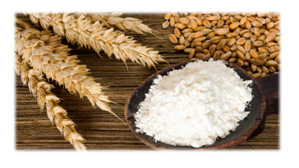 Affordable Wheat Starch for Sale | Wills International Sales Corporation